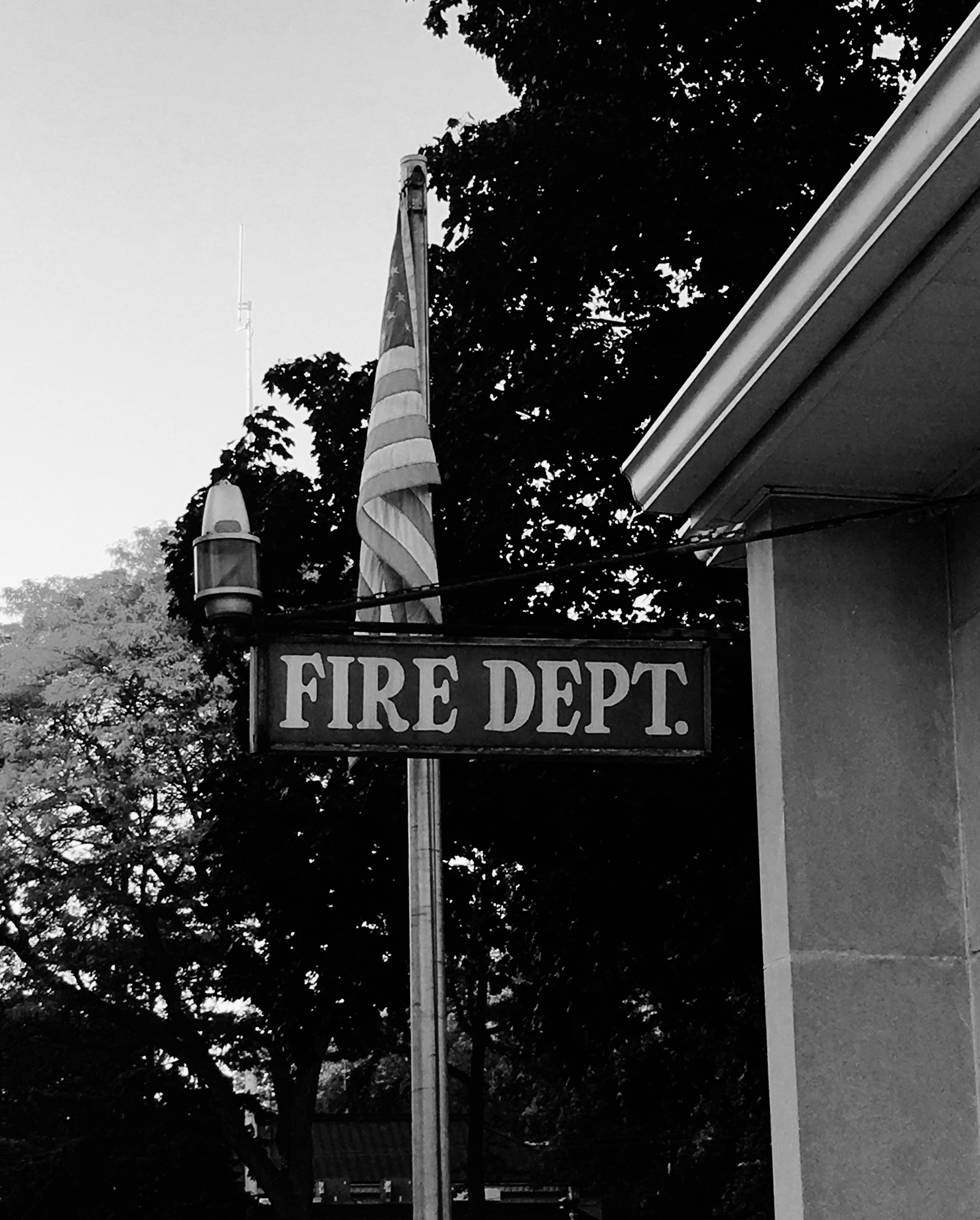 Fire Department | LisaRosier.com