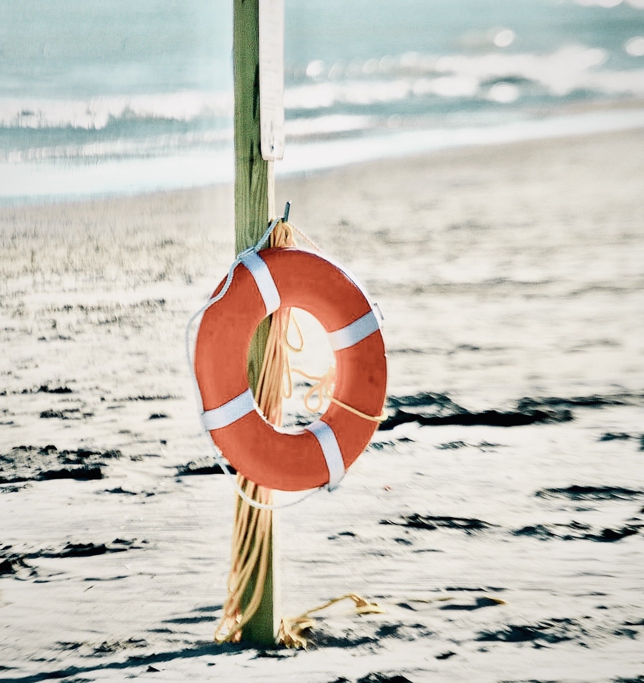 Studied | LisaRosier.com